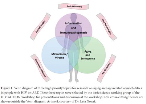 Pathogenesis Of Aging And Age Related Comorbidities In People With Hiv