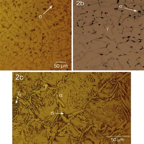 Microstructure Of The Heat Affected Zone Corresponding To The Root Download Scientific Diagram