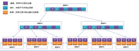 一文读懂MySQL的索引结构及查询优化 行无际 博客园
