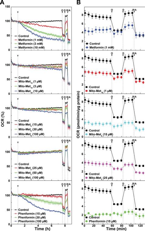 Mitochondria Targeted Analogs Of Metformin Exhibit Enhanced Antiproliferative And