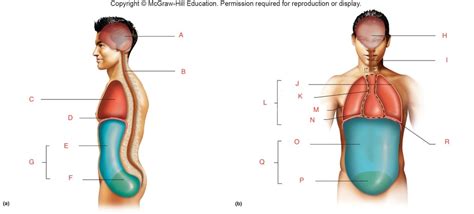 Chapter 1 Study Set Diagram Quizlet