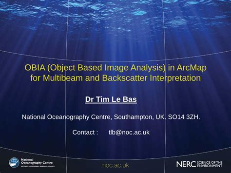pdf obia object based image analysis in arcmap for …proceedings