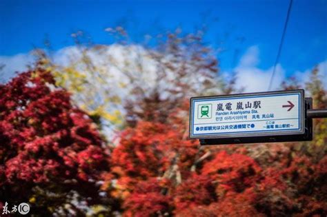我想你了，可我不能說 每日頭條