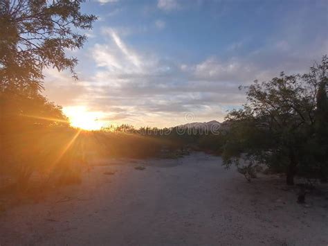 Early Walking Trail Sunset.. Stock Image - Image of dusk, horizon: 266944911