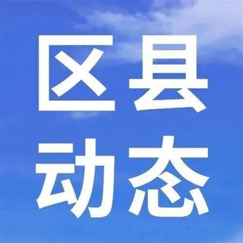 图片新闻 一线审计人人员情况项目