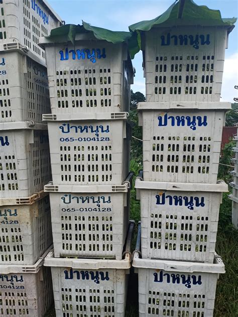 ตลาดสี่มุมเมือง 🚩 ตลาดสี่มุมเมืองจัดให้ พบกับ