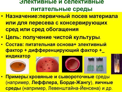 Питательные среды в микробиологии - презентация онлайн