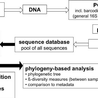 NGS Pipeline Followed In This Study In The Laboratory And In Silico Download Scientific