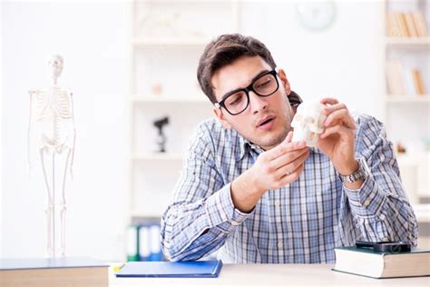 طالب الطب دراسة الهيكل العظمي صورة الخلفية والصورة للتنزيل المجاني