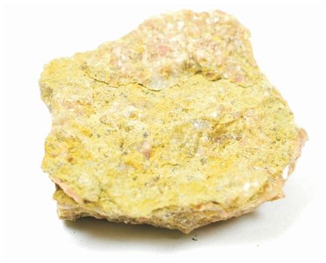 Eisco Fossiliferous Limestone Specimen Sedimentary Rock Teaching