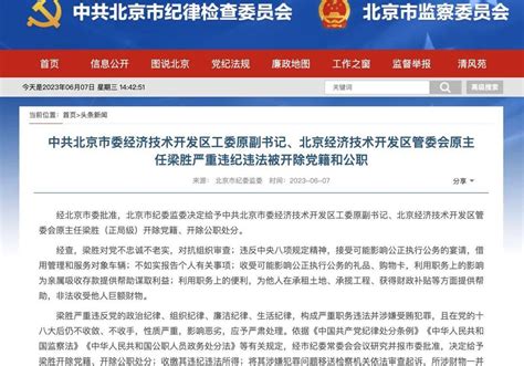 梁胜，被开除党籍、开除公职影响违法严重