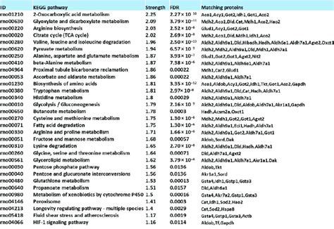 Functional Enrichment Analysis For Carbonylated Proteins Identified In