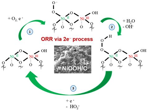 Bifunctional Catalytic Activity Of γ Niooh Toward Oxygen Reduction And Oxygen Evolution