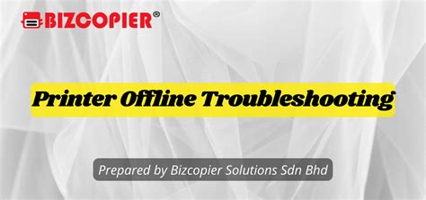 Printer Offline Troubleshooting Ricoh Copier Supplier In Klang Valley