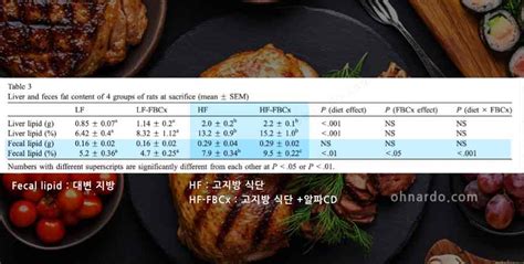 마이핏s 핑크핏 알파cd 효과 부작용 지방 배출 원리 정리