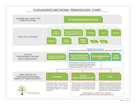 Treatment Options Cholangiocarcinoma Australia Treatment Options Cholangiocarcinoma Australia