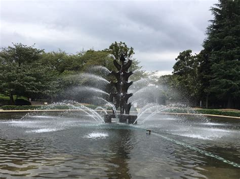 知ってて損はない！ 世田谷公園で『のびのび子育てライフ』のご提案｜賃貸物件・分譲マンションのことなら地域密着のウィル・ビー