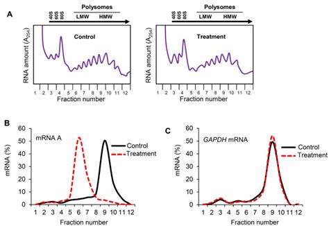 Polysome Fractionation To Analyze Mrna Distribution Profiles Pmc