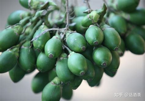 槟榔配烟是 法力无边”，还是 轻则住院”， 重则升天”呢？ 知乎