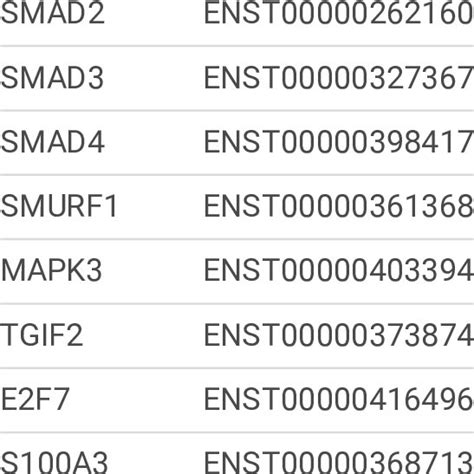 List Of The 9 Predicted Target Genes For Mir 1285 3p Download