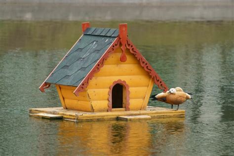 DIY Floating Duck House Plans Ideas For Your Feathered Friends