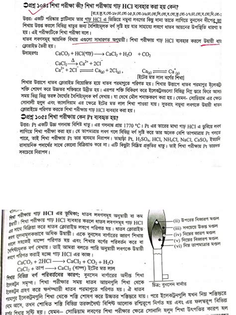 Anion And Cataion Identification Pdf