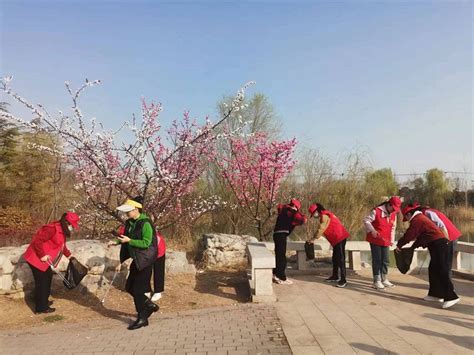 烈山区宋疃中学开展“巾帼学雷锋 欢庆三八节”志愿服务活动淮北市教育局