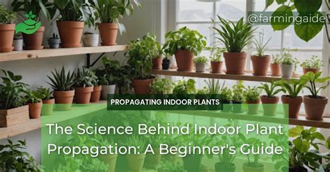 The Science Behind Indoor Plant Propagation A Beginners Guide