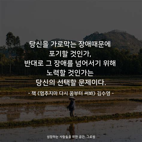 당신을 가로막는 장애때문에 포기할 것인가 반대로 그 장애를 넘어서기 위해 노력할 것인가는 당신의 선택할 문제이다 책