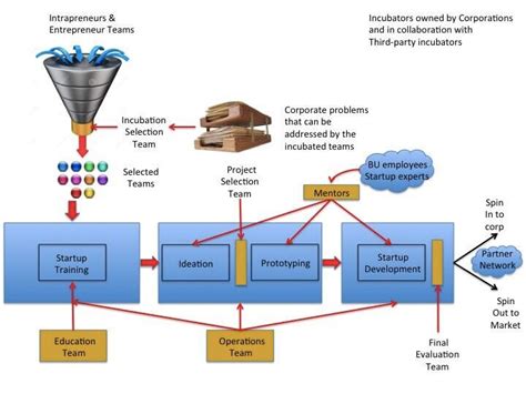 Collaborative Innovation In Startup Ecosystems Through Incubation And Acceleration