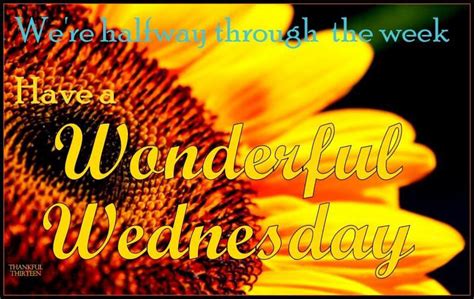 Half Way Through The Week Have A Wonderful Wednesday Pictures Photos