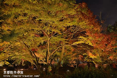 宝厳院 秋 紅葉 ライトアップ 地球散歩の旅