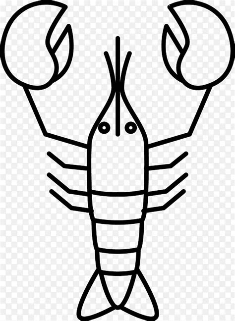 Png Png