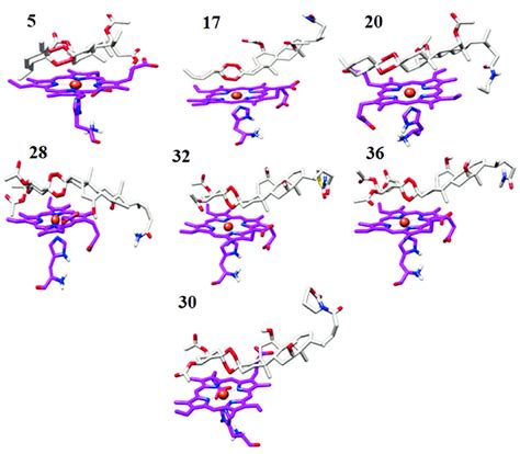 Molecular Docking Results Of Compounds With Lower Ic 50 Value 5