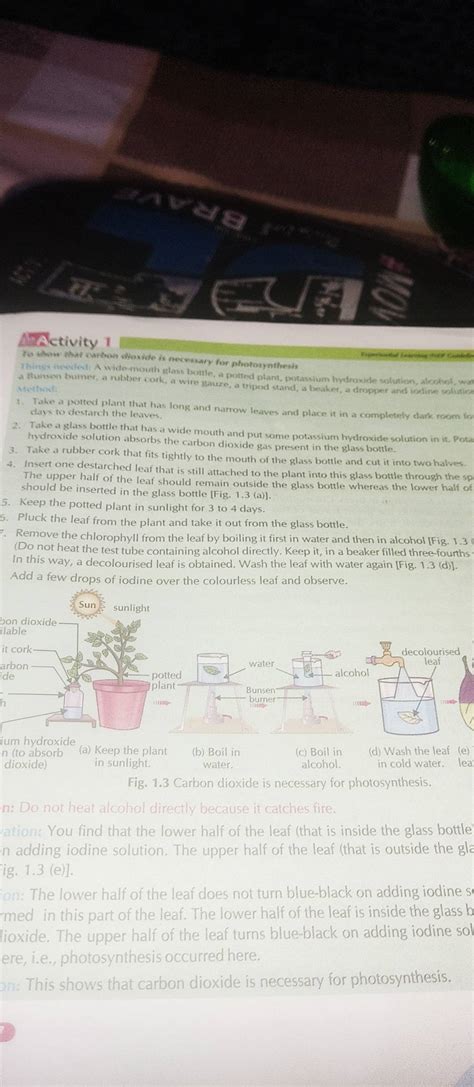 Activity 1 To Show That Carbon Dioxide Is Necessary For Photosynthesis Th