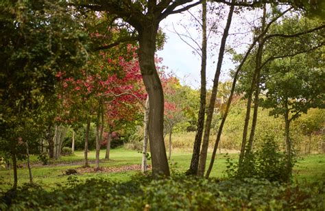 Danbury Country Park Explore Essex