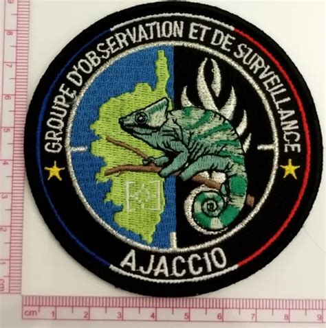 ECUSSON POLICE GENDARMERIE Corse Patch Badge Gos Observation