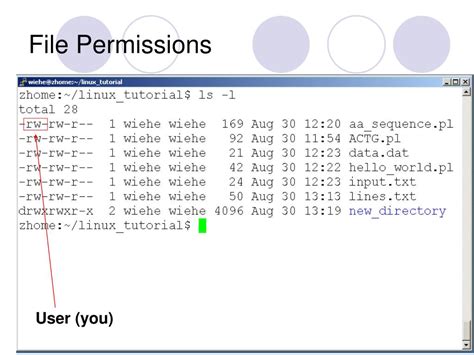PPT Learning Unix Linux PowerPoint Presentation Free Download ID