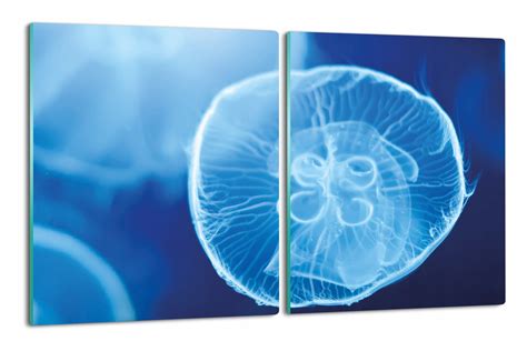 osłona płyty kuchennej 2x 40x52 Meduza woda ocean