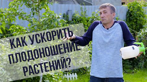 Как ускорить плодоношение и усилить рост растений. Стимуляторы роста ...