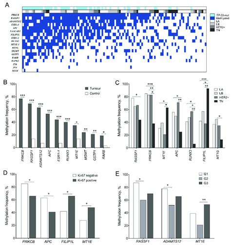 Promoter Methylation Frequencies Of The Analyzed Genes In Breast Cancer