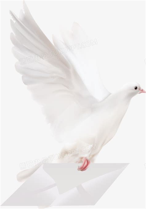 Png Png