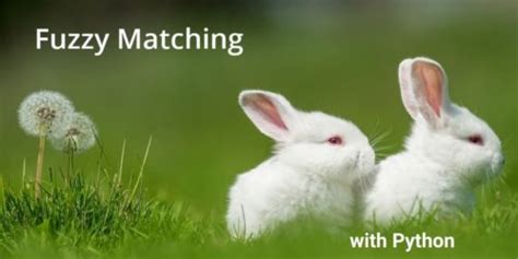 How To Implement Fuzzy Matching With The Python FuzzyWuzzy Library