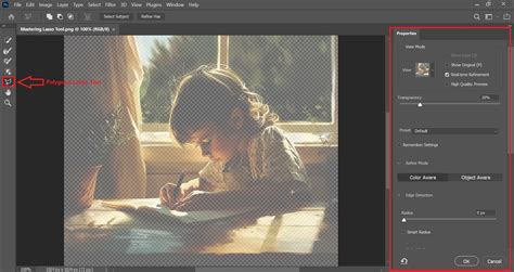 Lasso Tool In Photoshop Mastering Selections For Perfect Edits