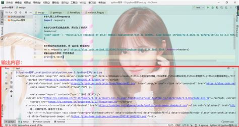 Python爬虫的基本原理和requests的基本使用爬虫入门 request爬虫 CSDN博客
