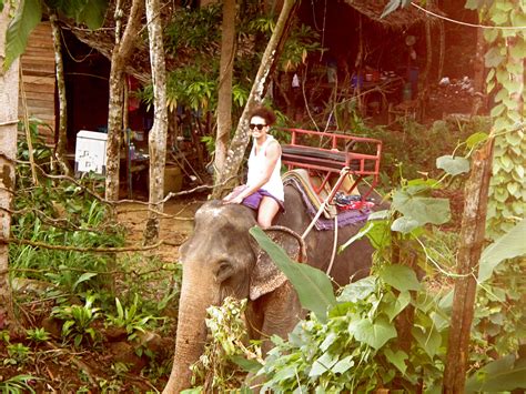 Pin Auf Elephants