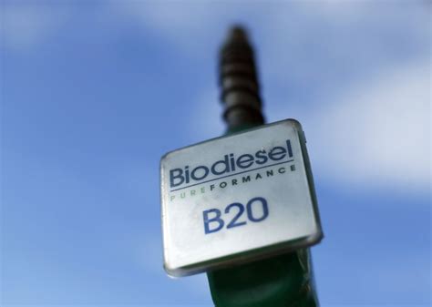 Us Lawmakers Seek Crackdown On Chinese Used Cooking Oil Imports Over