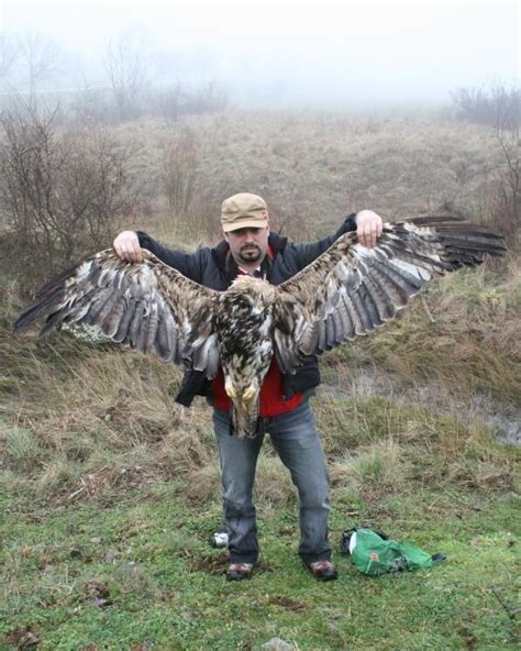 Полицията разследва инциденти с незаконни отровни примамки в Елховско