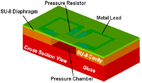 A Schematic Diagram For A Cross Section View Of The Pressure Sensor Download Scientific Diagram