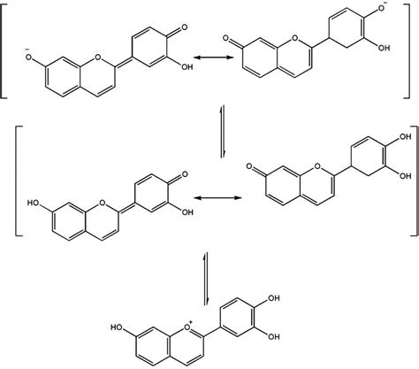 Reversible Structural Transformations Of Anthocyanins In Solution